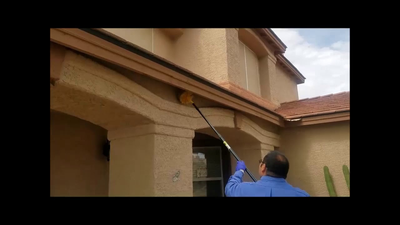 De-Webbing - A feature in Essential's Power Pest Program. - YouTube