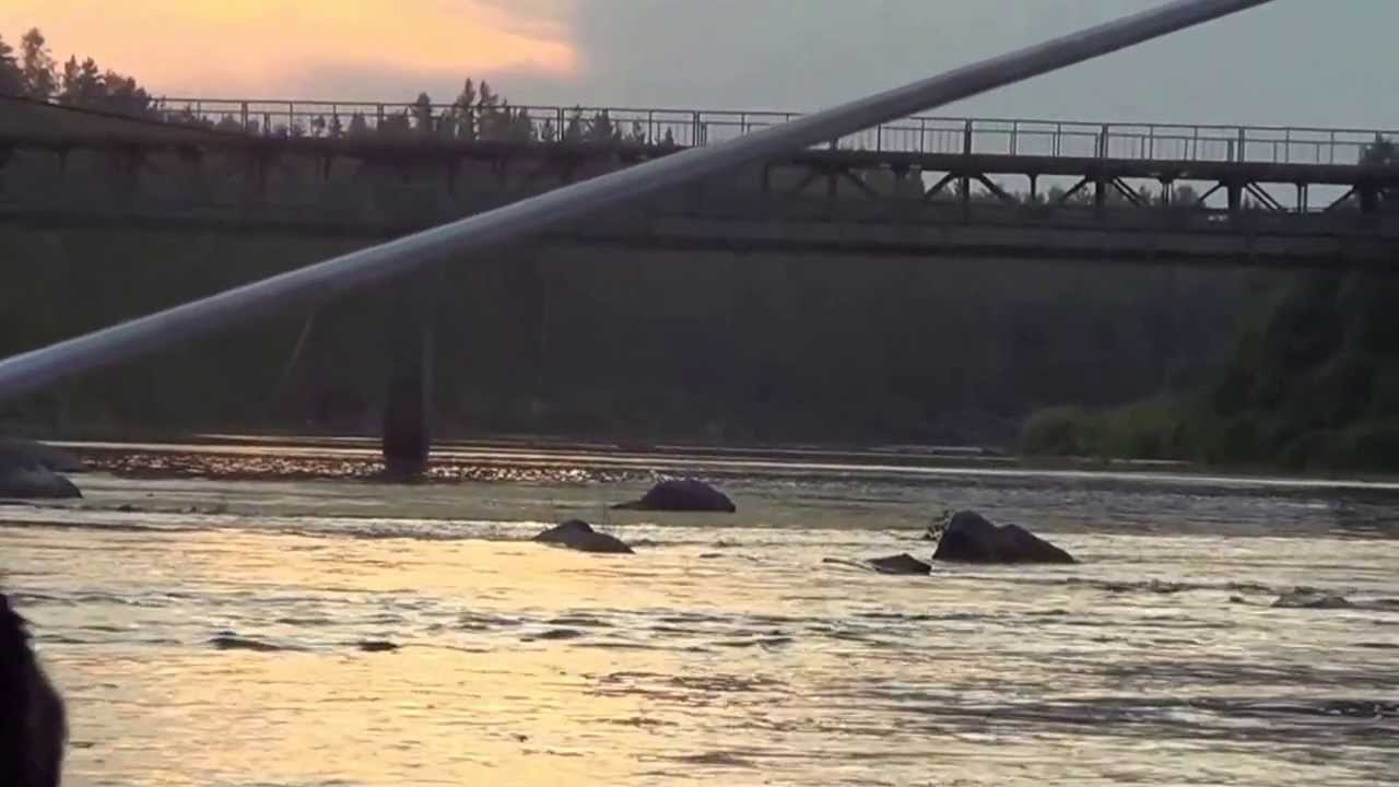 Plaustai. 2013 August - YouTube
