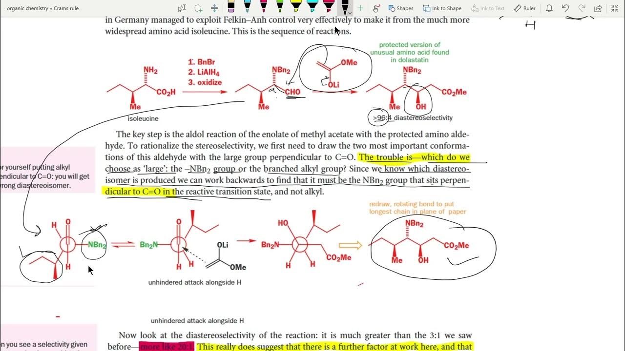 2. felkin ahn model - YouTube
