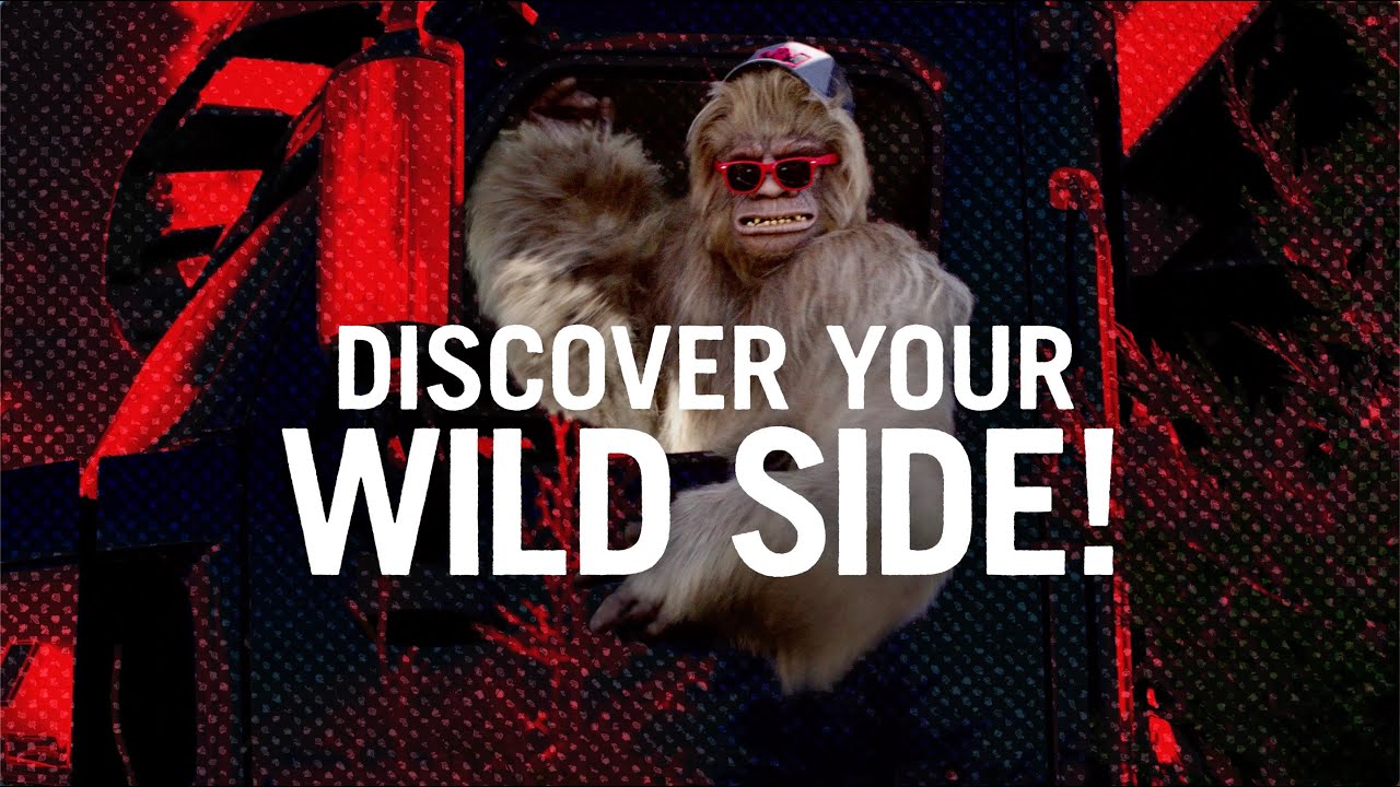 Gear up for the Star Nation Experience - YouTube