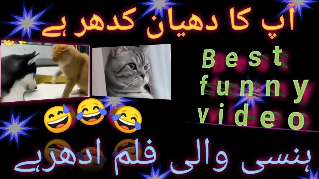 Funny short video , amazing funny videos for you only on fit for hit ...