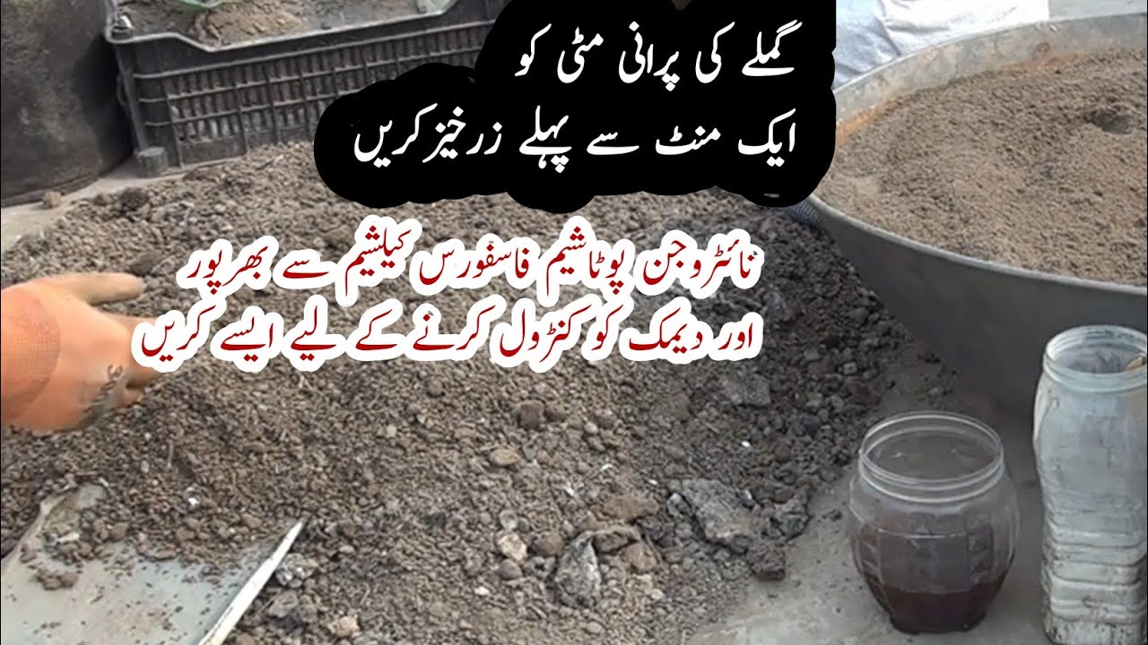 how to prepare soil for planting|preparing soil for vegetable gardening ...