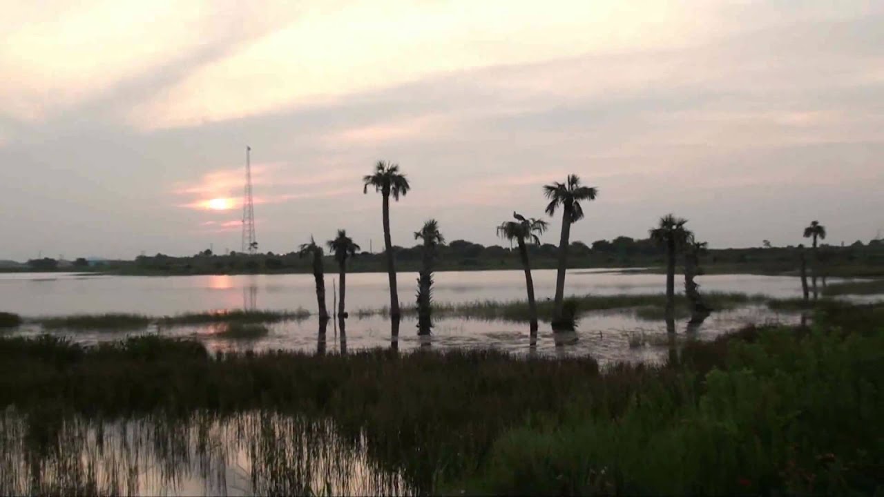 Charlie Corbeil at the Viera Wetlands - YouTube