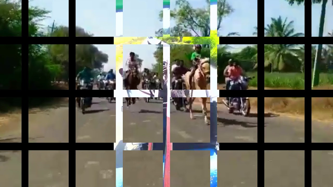 New kuda ngamuk - YouTube