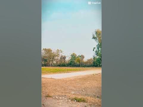 Ali ameer shah - YouTube