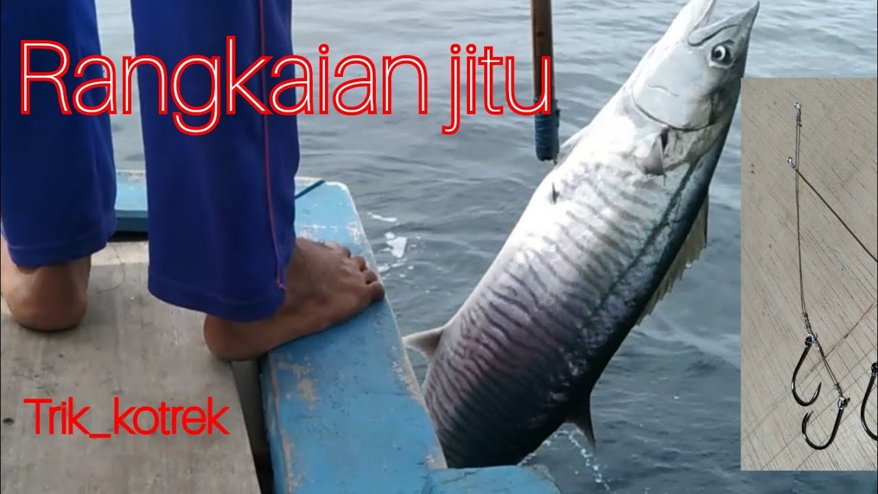 MANCING TENGGIRI bersama master'nya |tehnik konceran |sepecialis ...