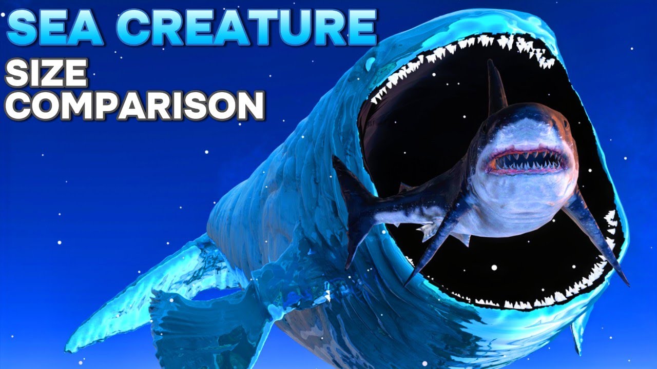 The Biggest Deep Sea Creatures Size Comparison - YouTube