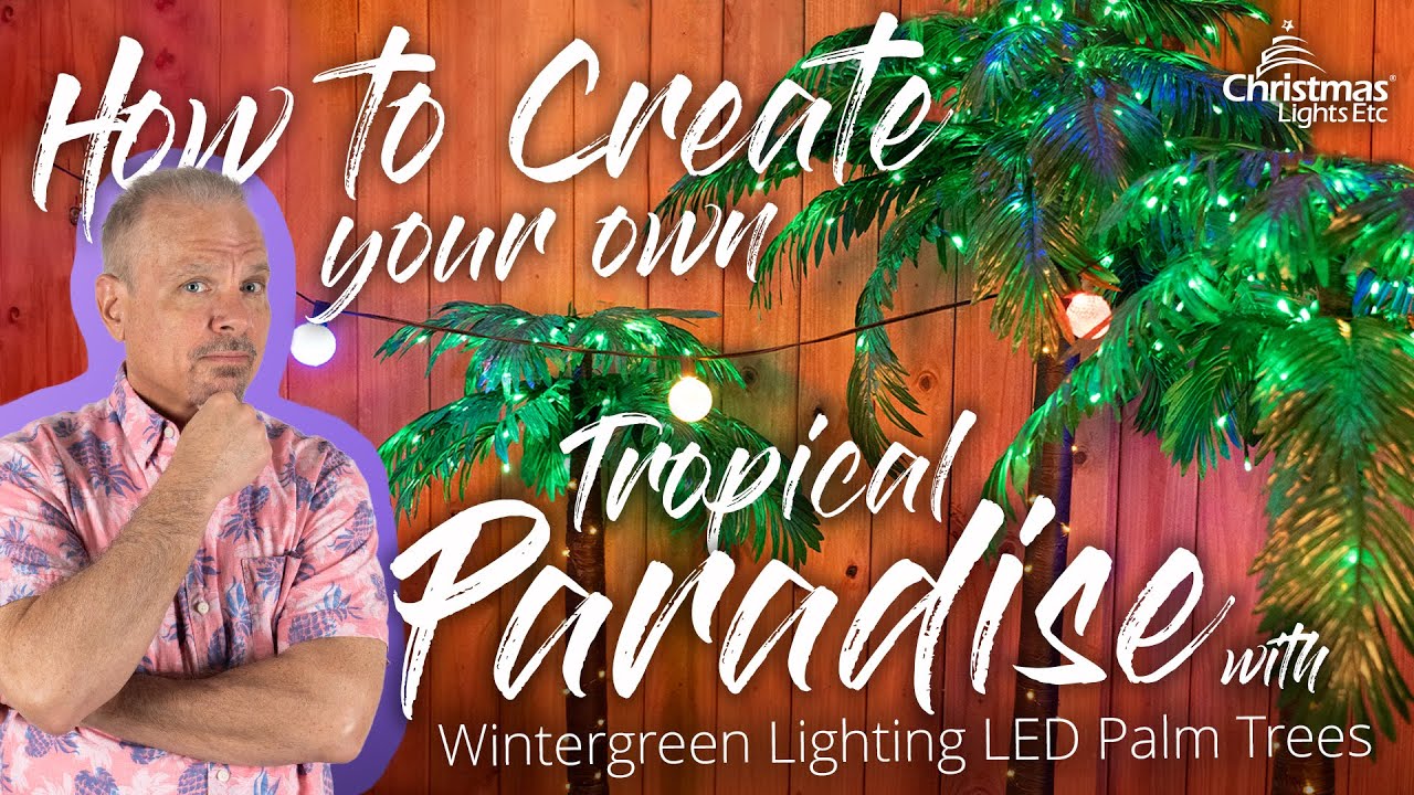 How to Create Your Own Tropical Paradise with Lighted Palm Trees - YouTube