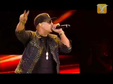 Daddy Yankee, Pose, Festival de Viña 2013