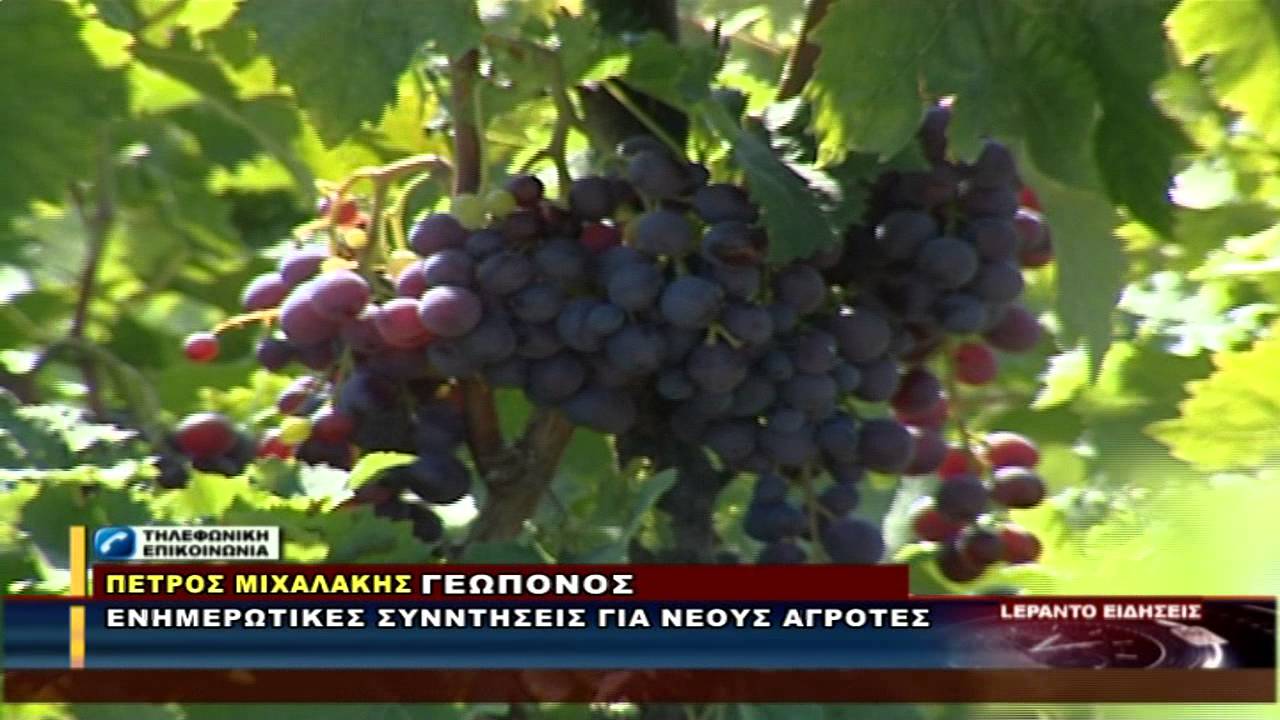 ΝΕΟΙ ΑΓΡΟΤΕΣ - YouTube