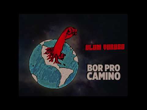 Bor Pro - Camino