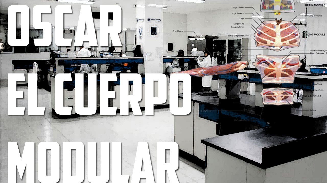 Oscar El Primer Cuerpo Modular (No apto para personas sensibles) - YouTube