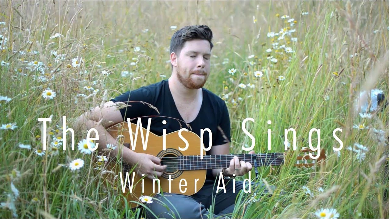 The Wisp Sings - Winter Aid (Acoustic Cover in a Meadow) - YouTube