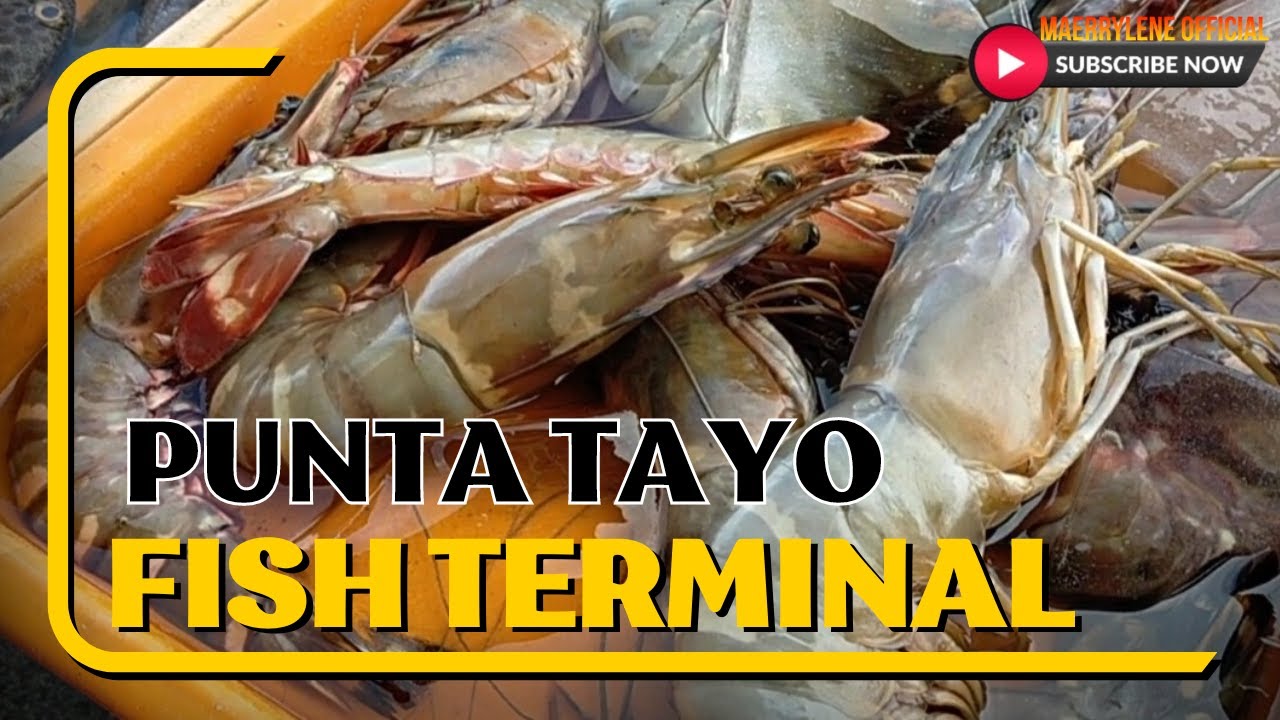 FISH TERMINAL PUNTA TAYO #fish #fresh | MAERRYLENE OFFICIAL - YouTube