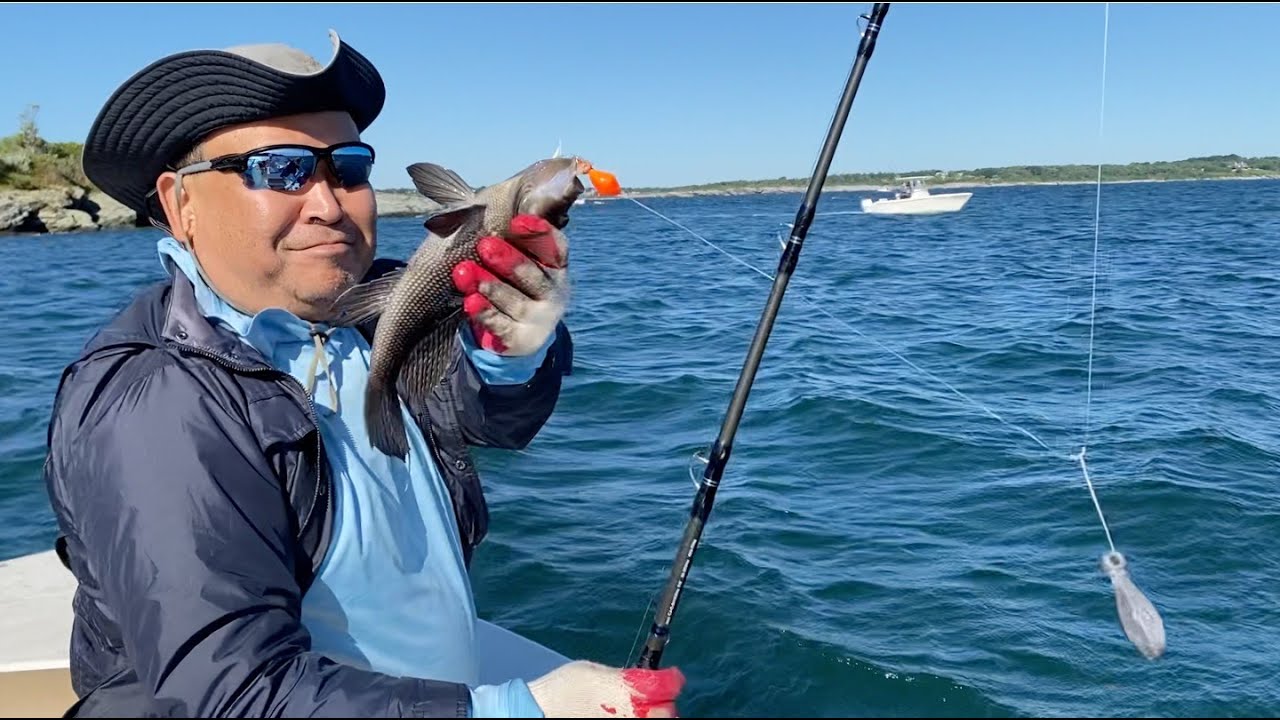 Black Sea Bass and scup fishing in Newport, RI (8/13, 2022) - YouTube