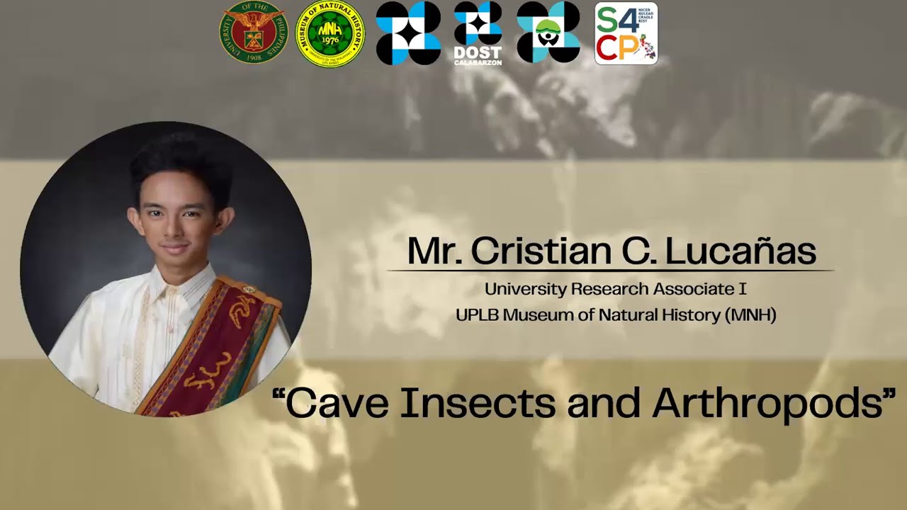 CAVES Launch Mini-Talks: Cave Arthropods by Cristian C. Lucañas - YouTube