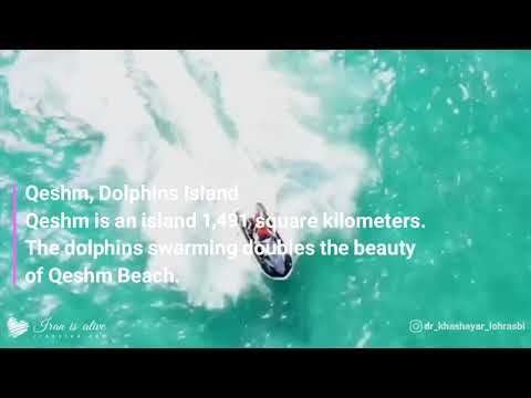 Qeshm, Dolphin Island - YouTube