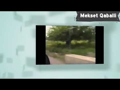 mekset qaballi qabal mahnısı