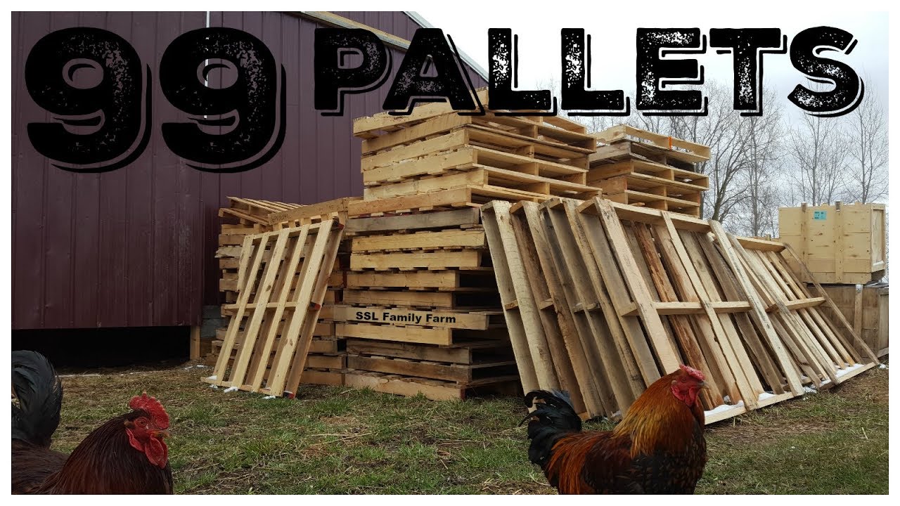What Will We Do With 99 Pallets? - YouTube