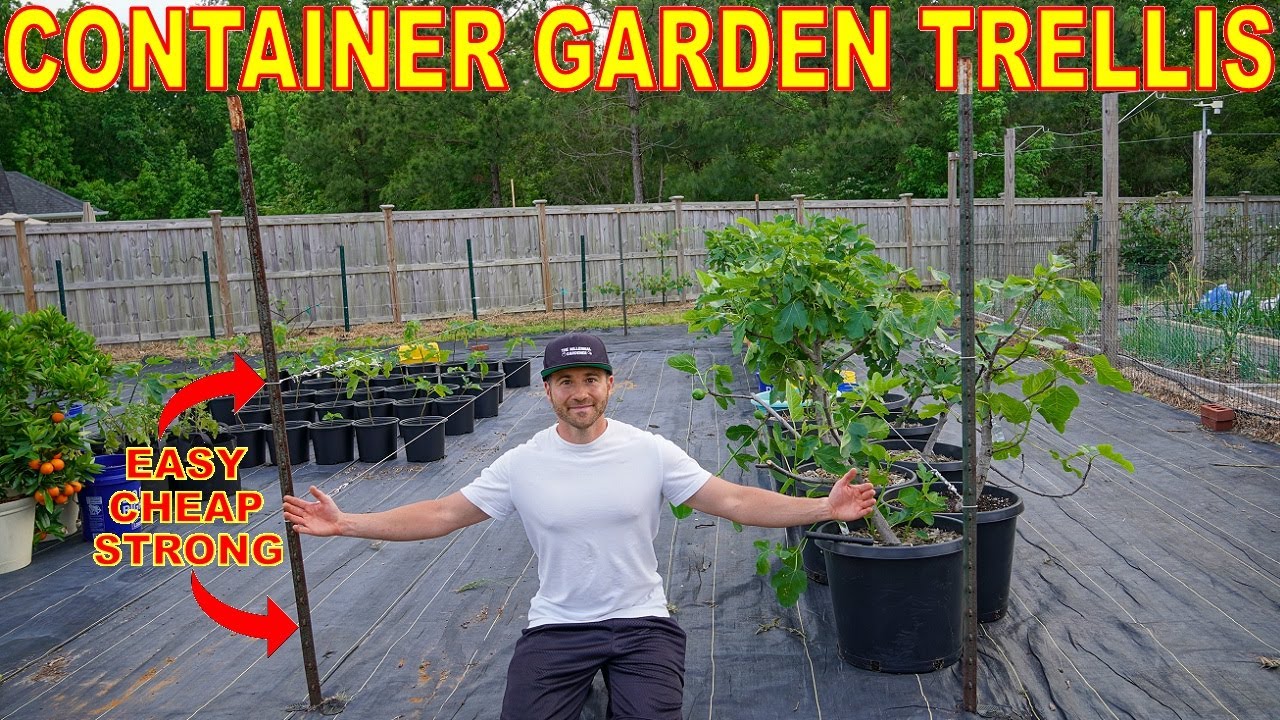 The BEST Container Garden Trellis Ever! Complete DIY Install Guide ...