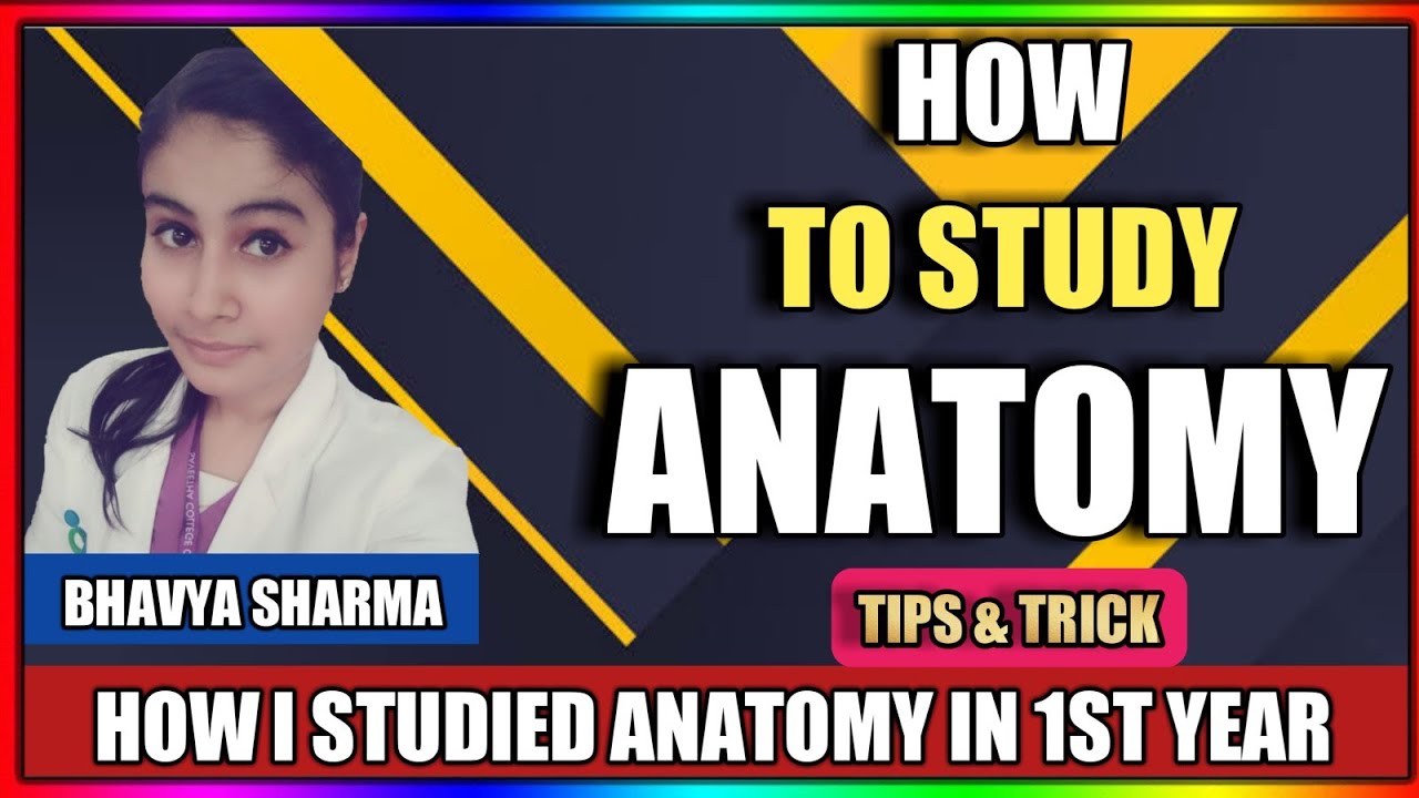 How To Study ANATOMY Effectively Techniques Tips Bhavya Sharma How To Study ANATOMY Effectively Techniques Tips Bhavya Sharma