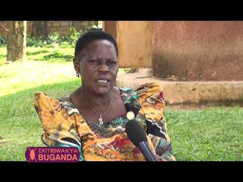Ekitiibwa kya Buganda: Ebyafaayo by'Amasiro g'e Masanafu - YouTube