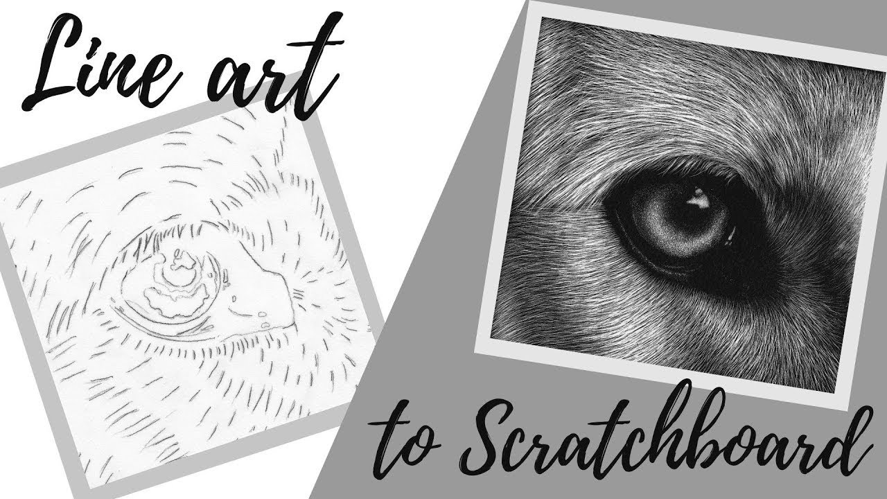 Easy Way to Transfer Your Drawing to Scratchboard - YouTube
