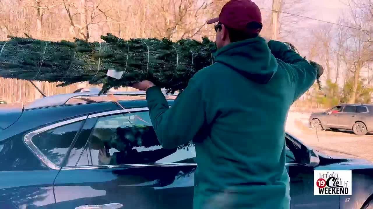 Sleigh Rides and Spruces: Experience the Magic of a Traditional ...
