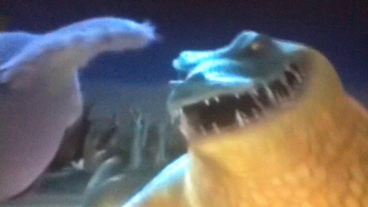 Scenes of Bog videos - YouTube