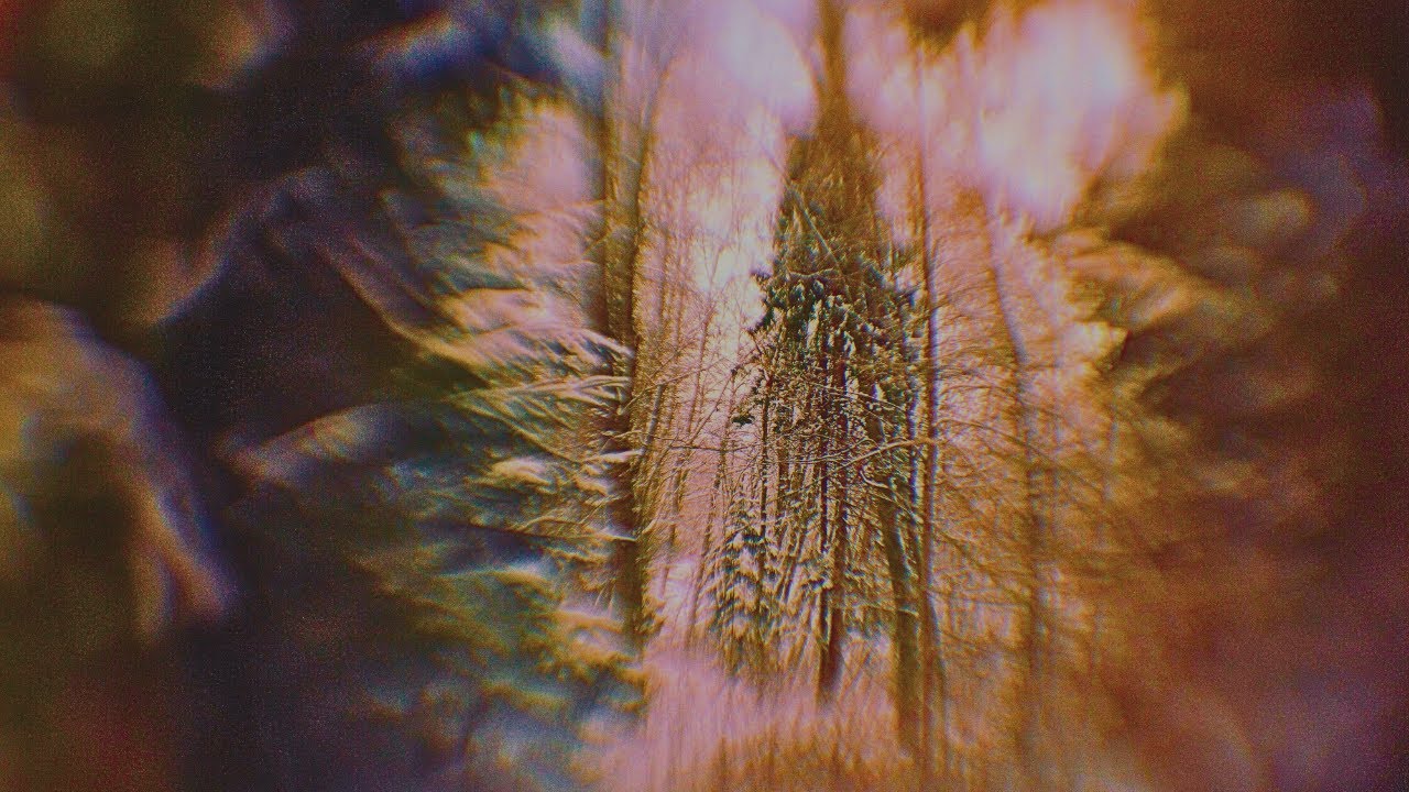 Can Trees and Plants communicate? The Secret Language Finally Revealed ...