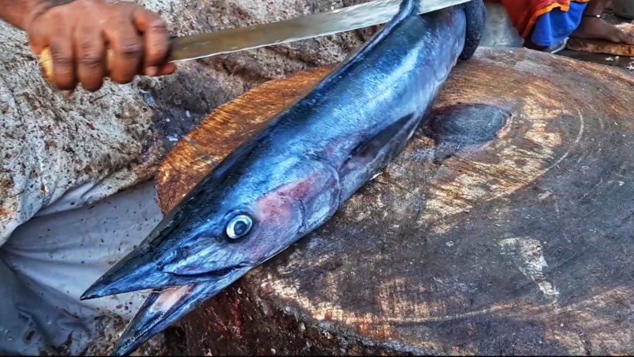 WAHOO FISH |COBIA FISH | CUTTING VIDEO |CUTTING SKILLS &SLICES # ...
