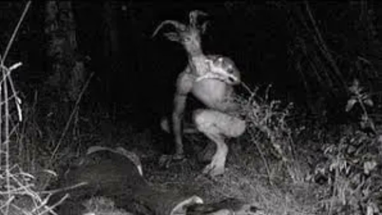 Getmannen - dokumentär vinjett - YouTube