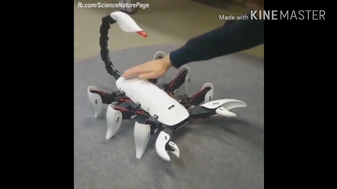 Most advanced Robot animals - YouTube