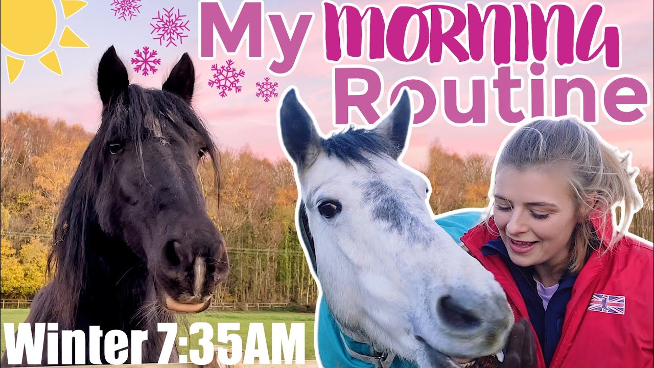 EQUESTRIAN'S MORNING STABLES ROUTINE ~ Winter 2021 | Vlogmas Day 4 ...