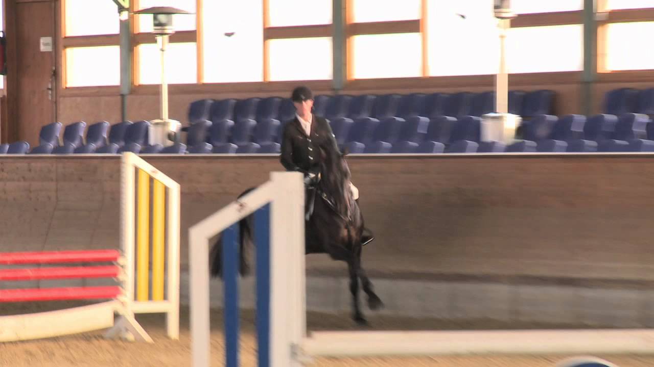 GHC Challenge 2013: How to ride the 95 cm style jumping course - YouTube