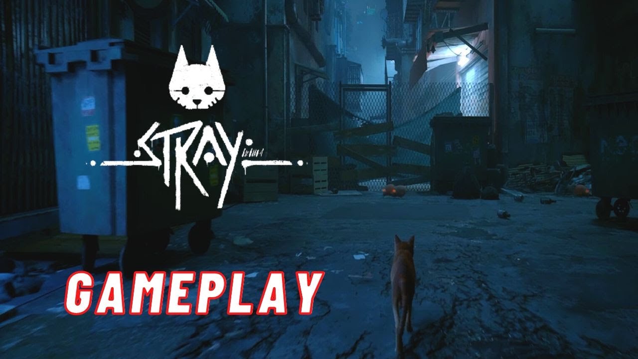 Stray Gameplay : New Steam Game - YouTube