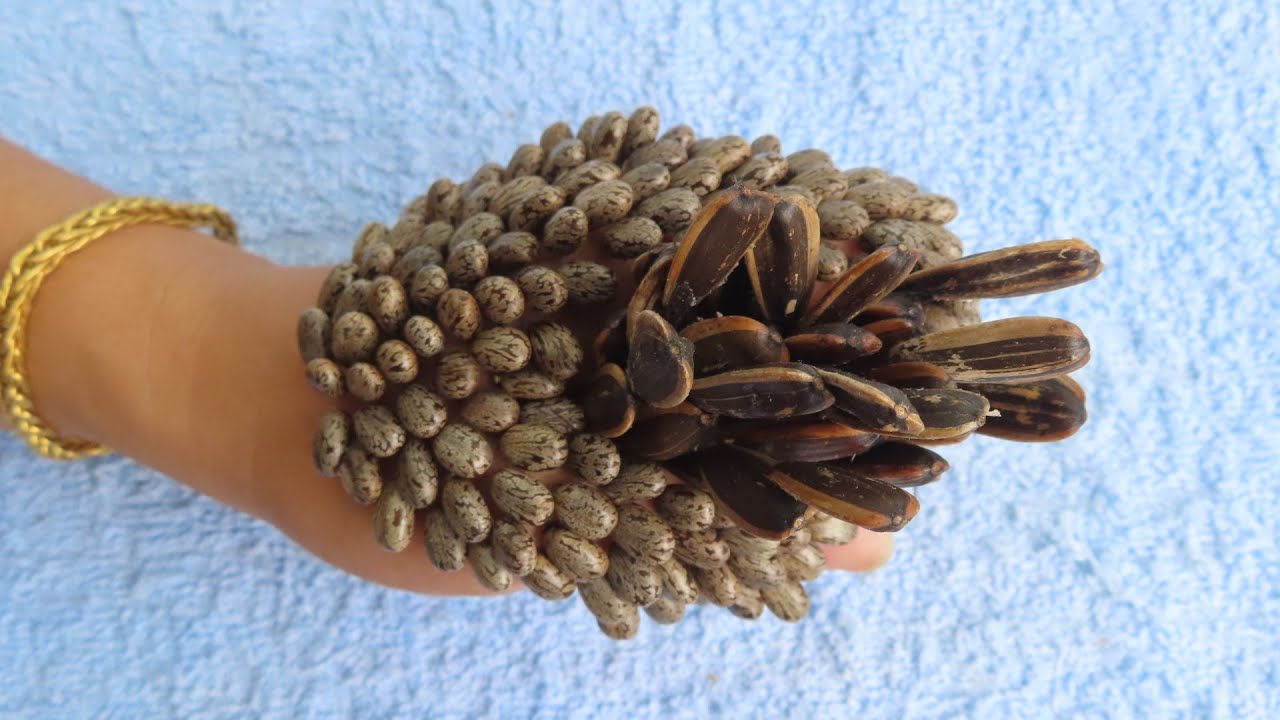 Wow!Amazing removing ticks style from hand lady | Designed from cereals ...