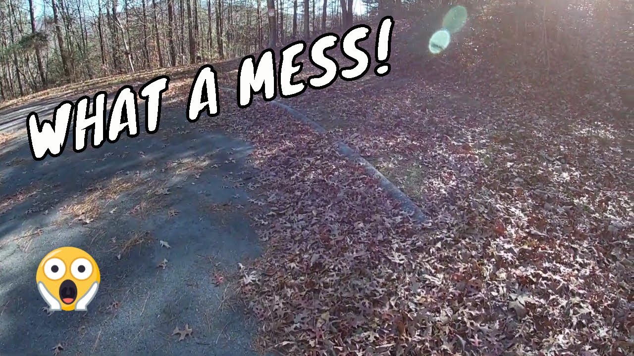 MESSY lawn - LEAVES everywhere - WHAT A MESS! - YouTube