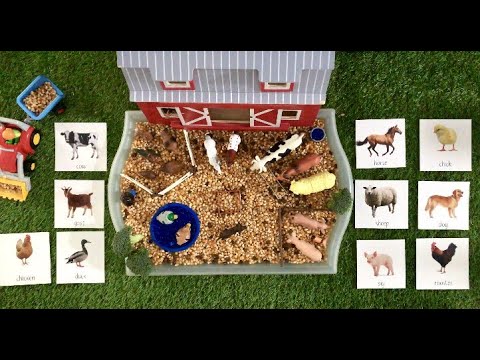 Farm Animals Flashcards - Farm Sensory Play - YouTube