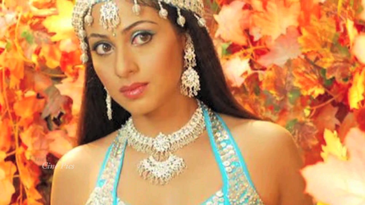 actress sada hot navel video - YouTube