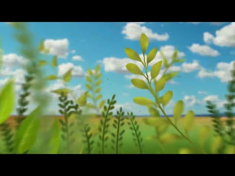 Good, Difficult, Different | EZ AG | 1-14-2020 - YouTube