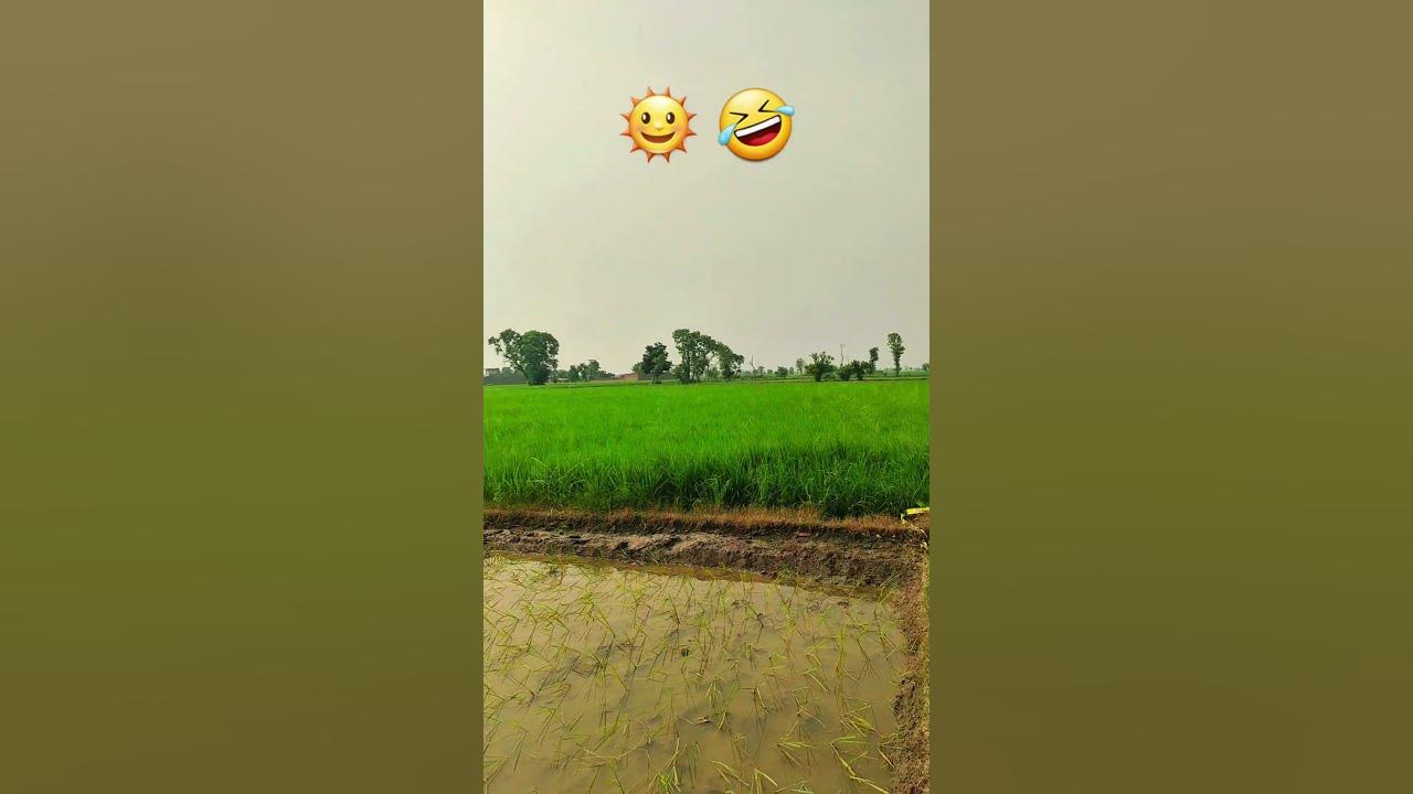 Desi Bear Grylls Youtube Farming Beargrylls Reels Tiktok Nature Bear Funny Automobile