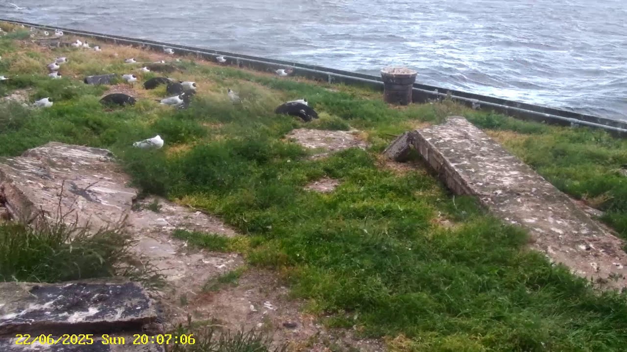 Lough Neagh: Torpedo Platform🌙22/06/25 - YouTube