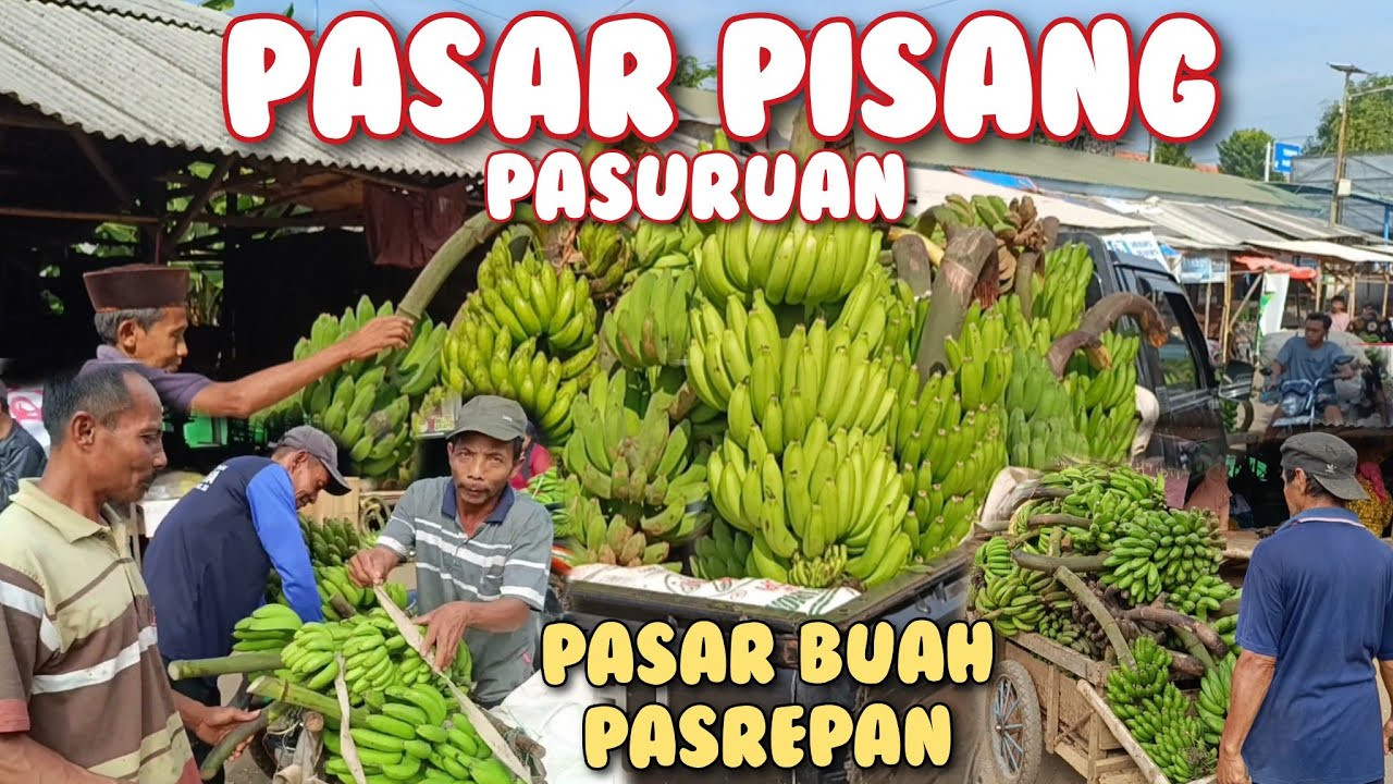 LIHAT PASAR PISANG YANG ADA DI PASAR BUAH PASREPAN PASURUAN INI INFO ...
