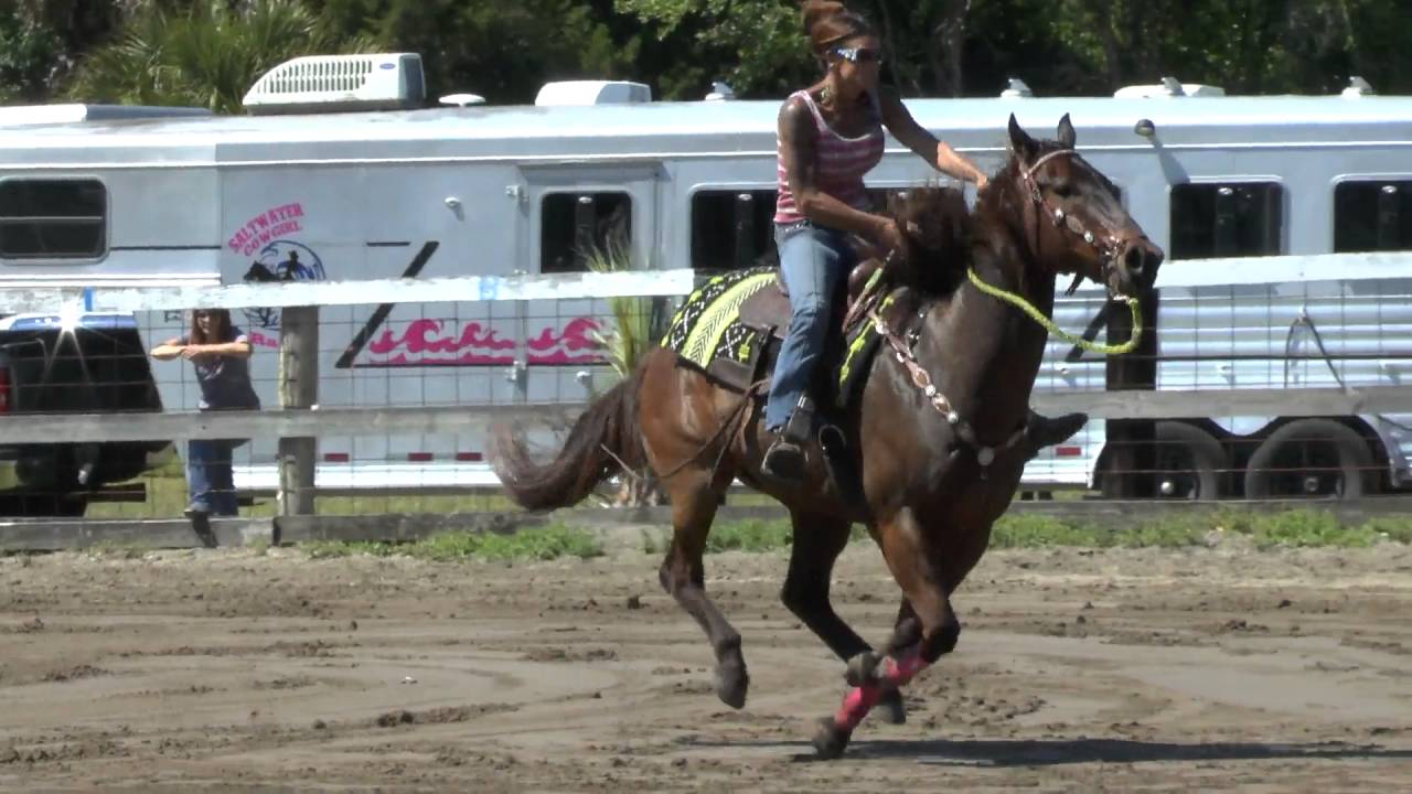 Dawn + Max Open Suncoast Bit and Spur 09 April 2016 - YouTube