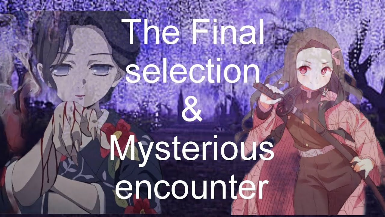 Nezuko the demon slayer||part-3||: The final selection and Mysterious ...