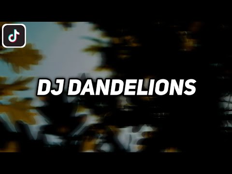 DJ DANDELIONS SLOW REMIX🎶 GA VIRAL TIKTOK TERBARU 2021 - YouTube