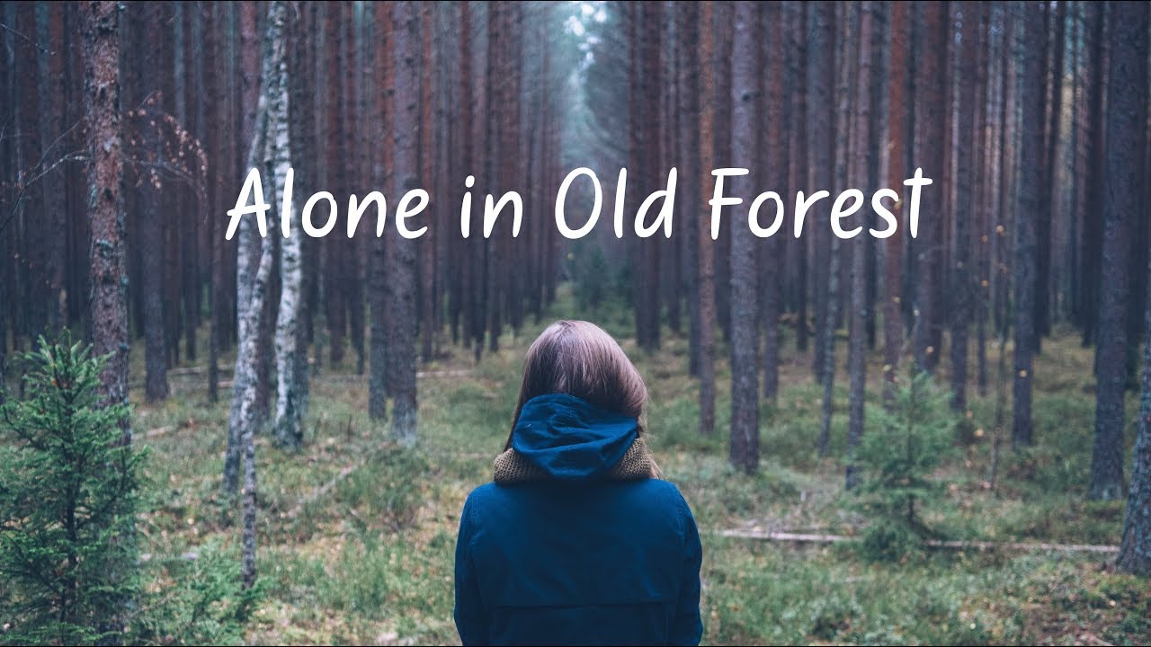 Alone in Old Forest | Beautiful Chill Mix - YouTube
