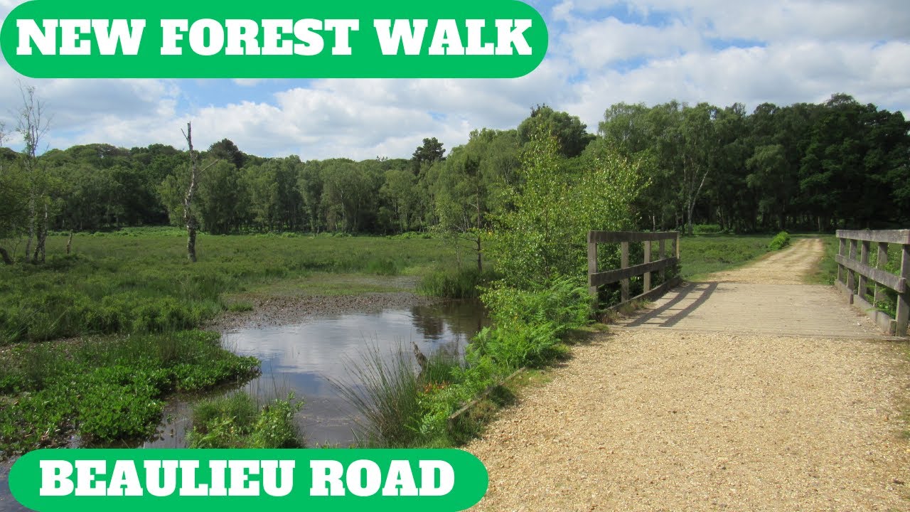 NEW FOREST WALK at BEAULIEU ROAD STATION (NEW FOREST NATIONAL PARK) (4K ...