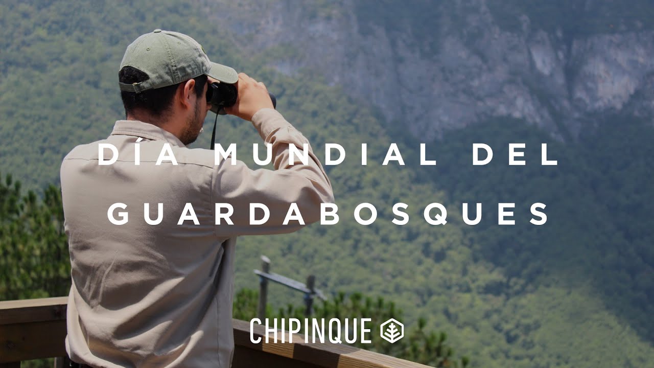 Día Mundial del Guardabosques - YouTube